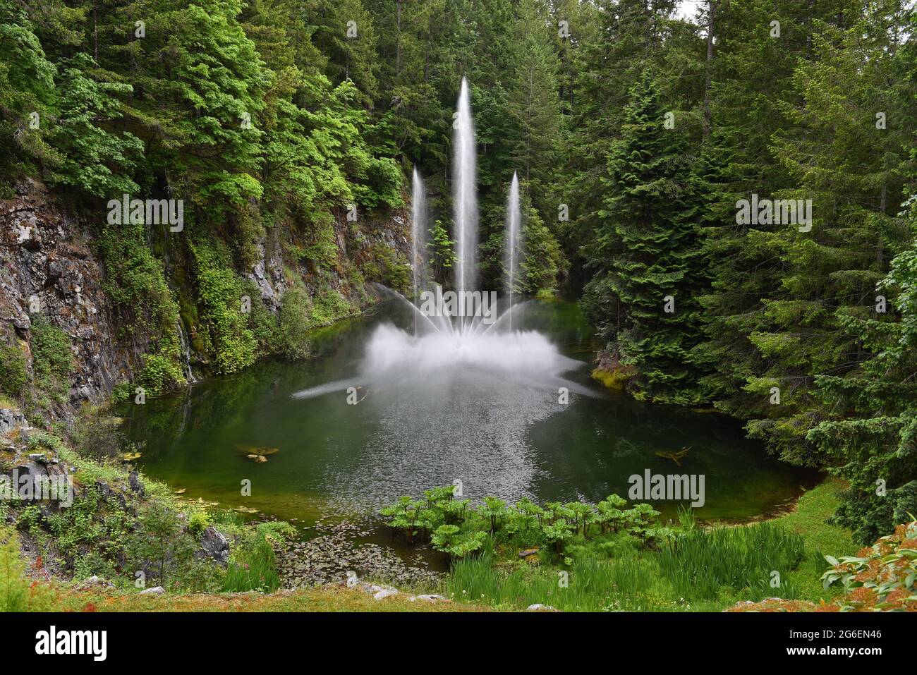 The Ross Fountain in the Sunken Garden, Butchart Gardens, Victoria ...
