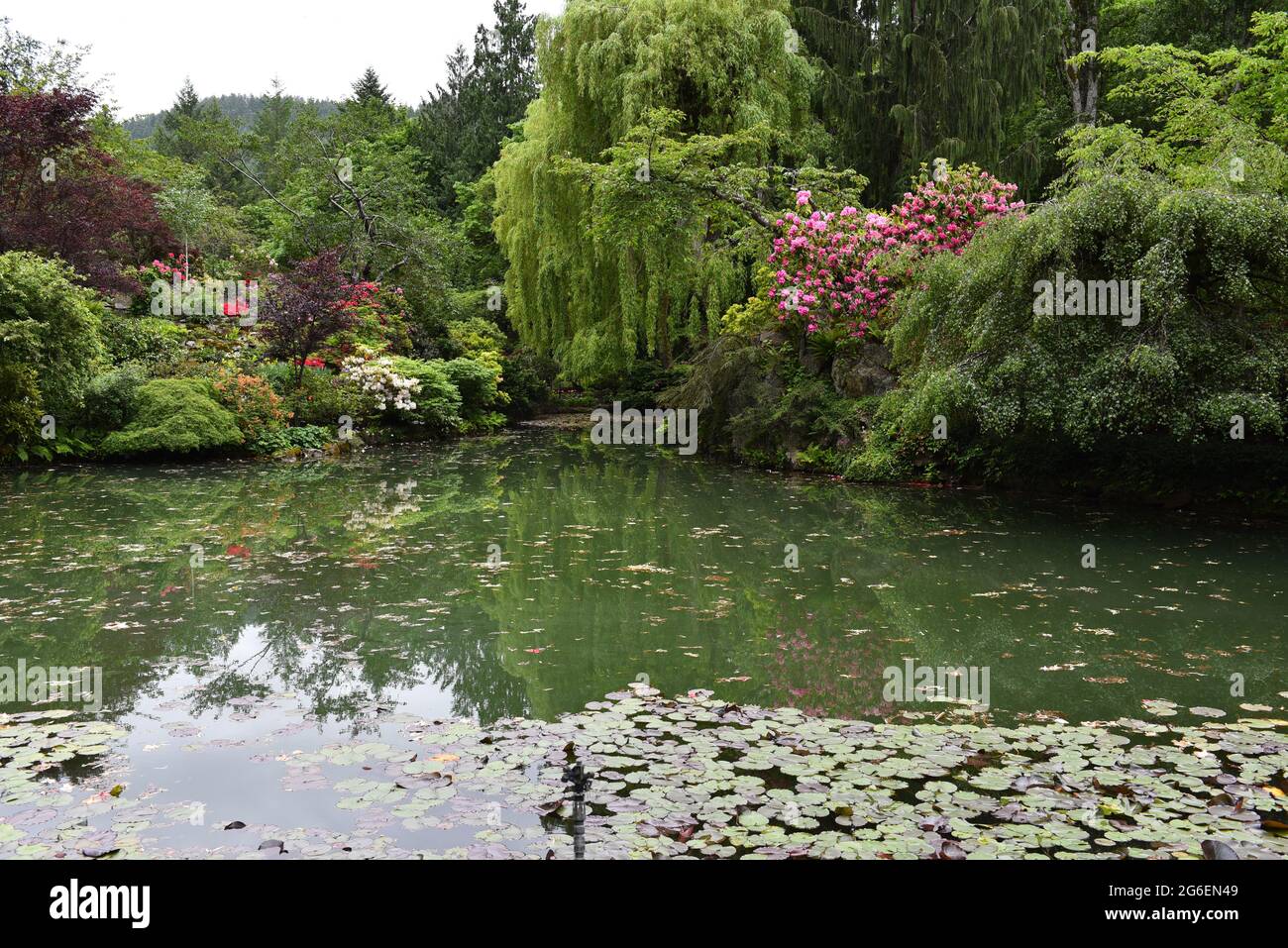 Sunken garden pond hi-res stock photography and images - Alamy