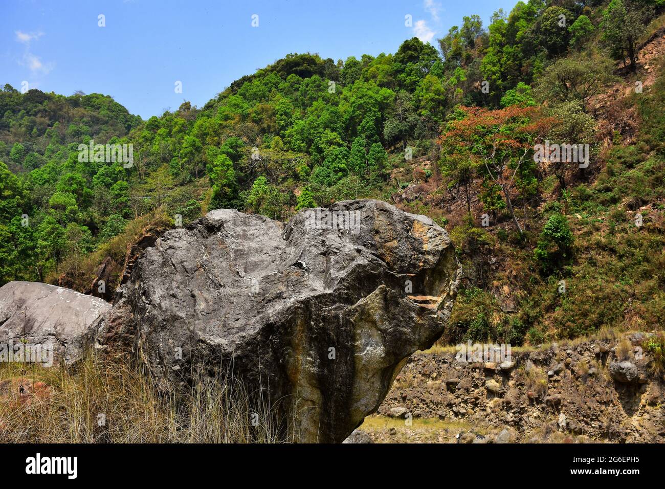 Dynasore hi-res stock photography and images - Alamy