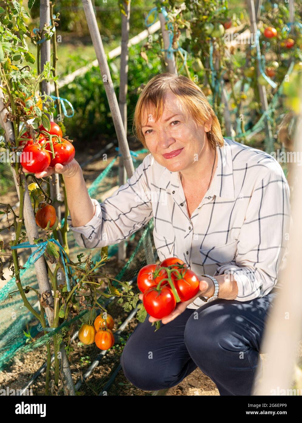 Retired farm worker hi-res stock photography and images - Alamy