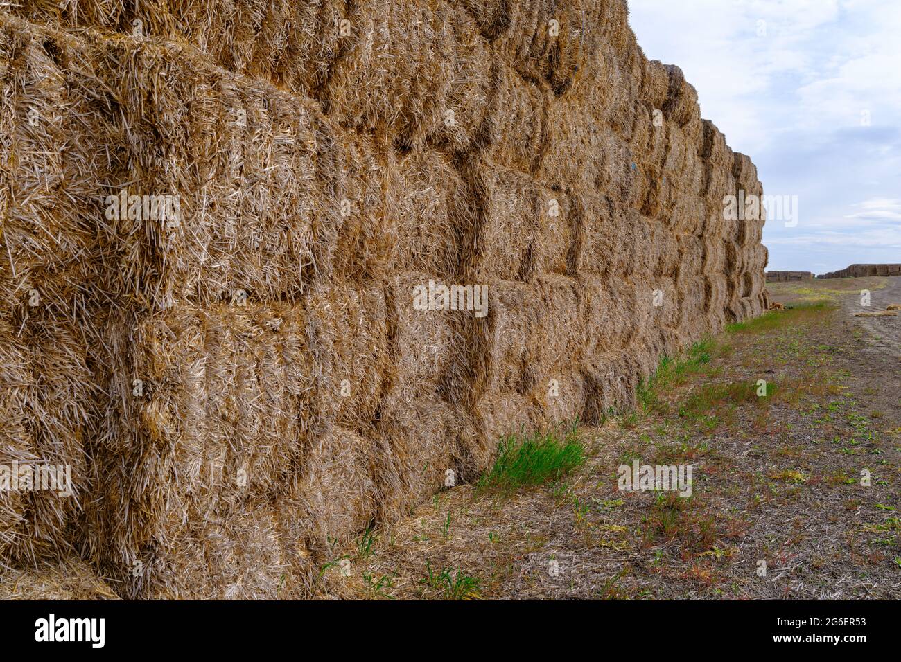 Tied haystacks hi-res stock photography and images - Alamy