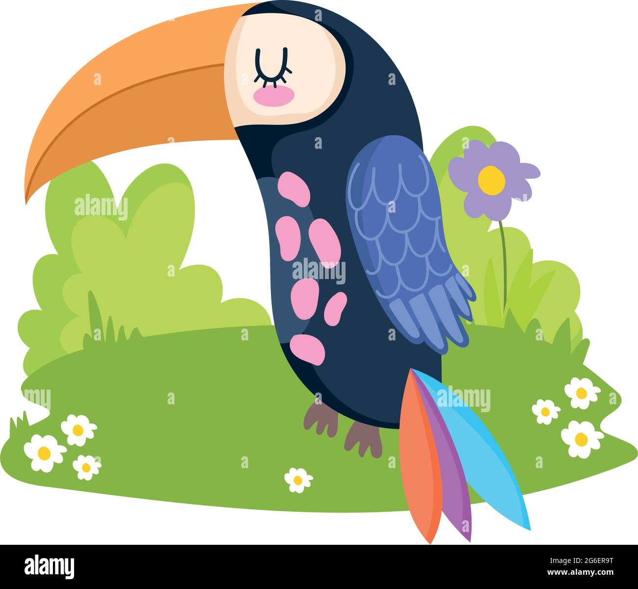 cartoon toucan bird Stock Vector Image & Art - Alamy