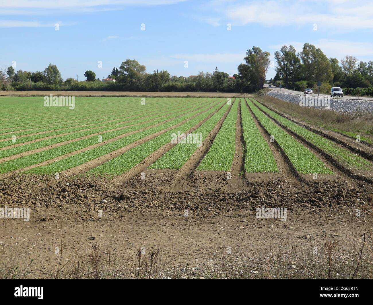 Field layout hi-res stock photography and images - Alamy