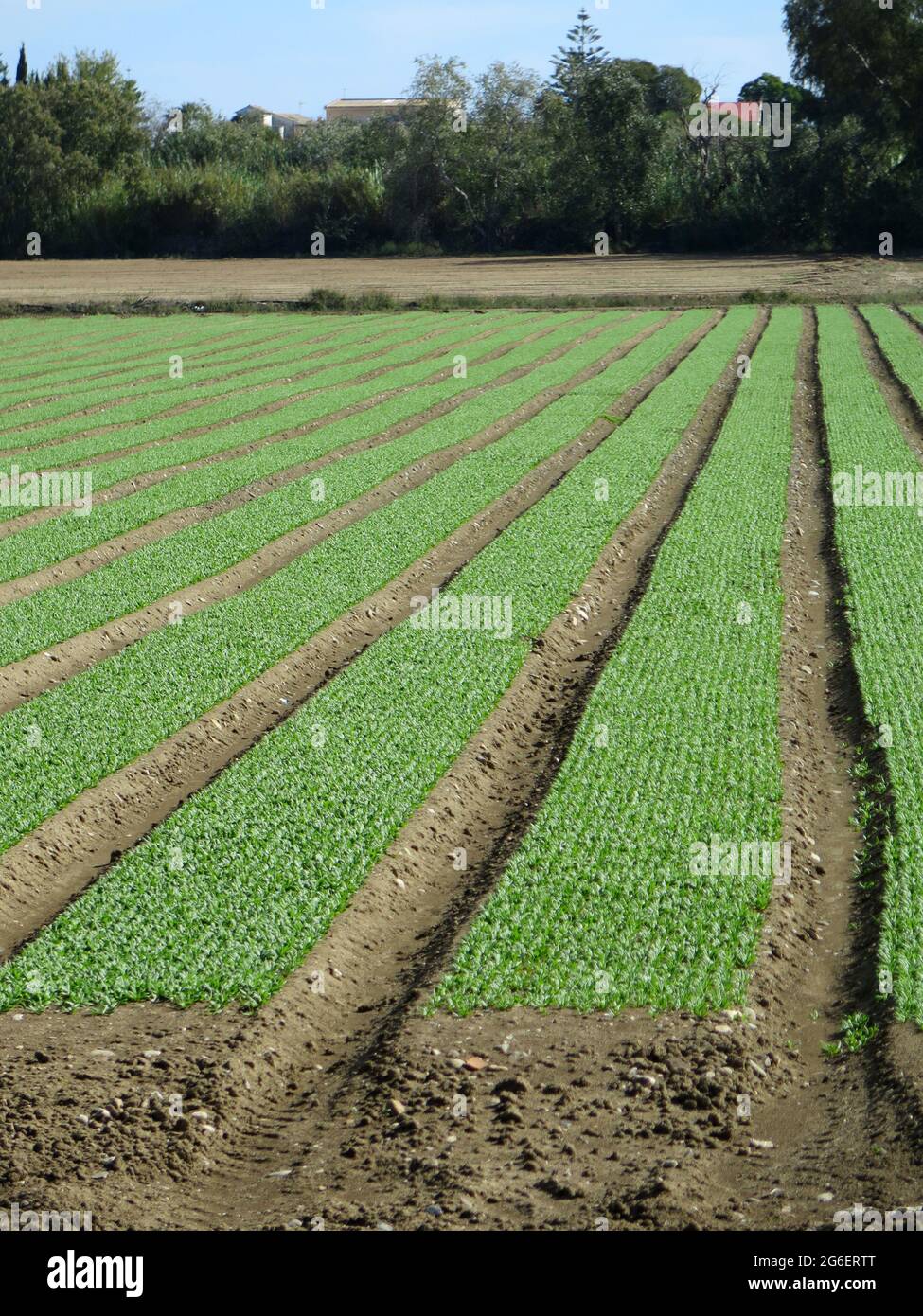 Field layout hi-res stock photography and images - Alamy