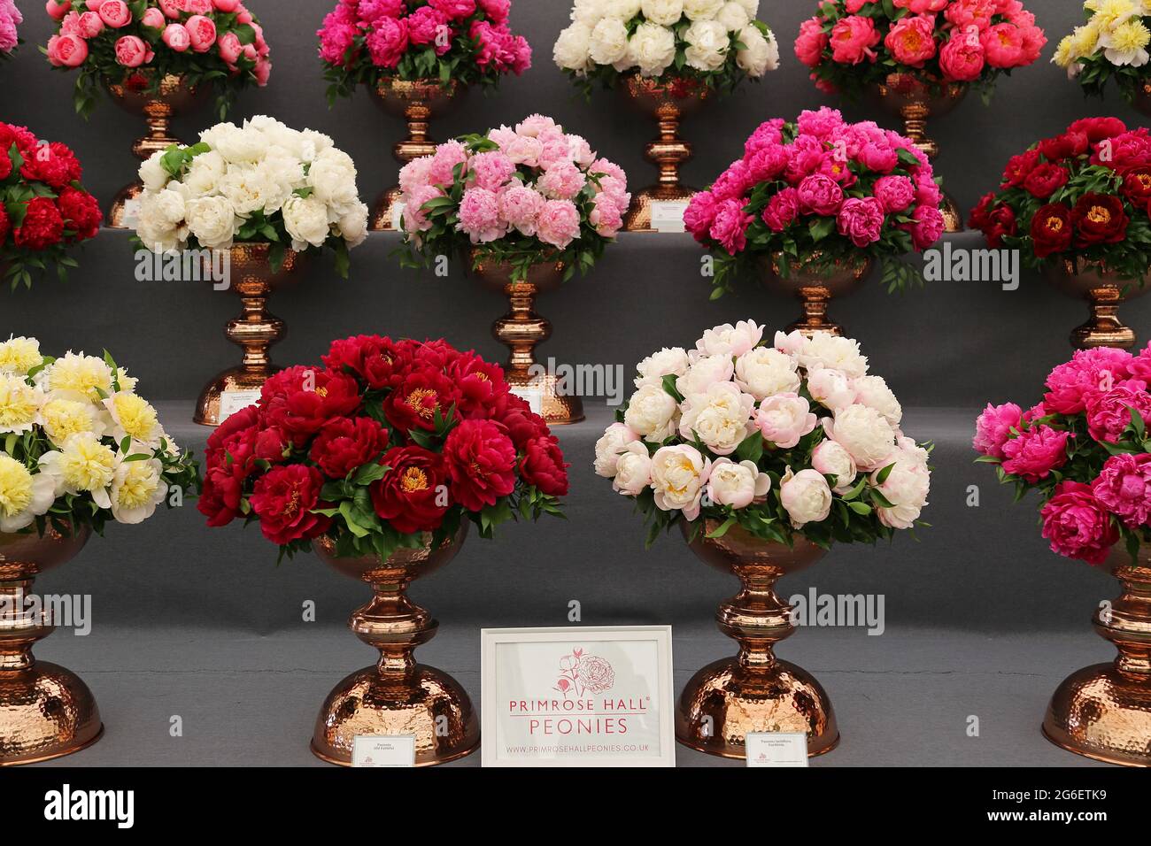 Peony display, Primrose Hall Peonies, Floral Marquee, RHS Hampton Court ...