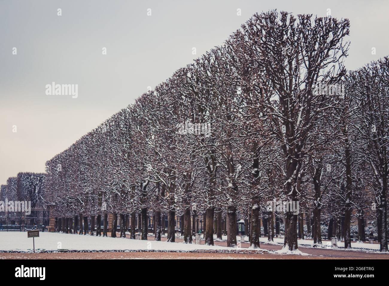 Crowded snowflakes hi-res stock photography and images - Alamy