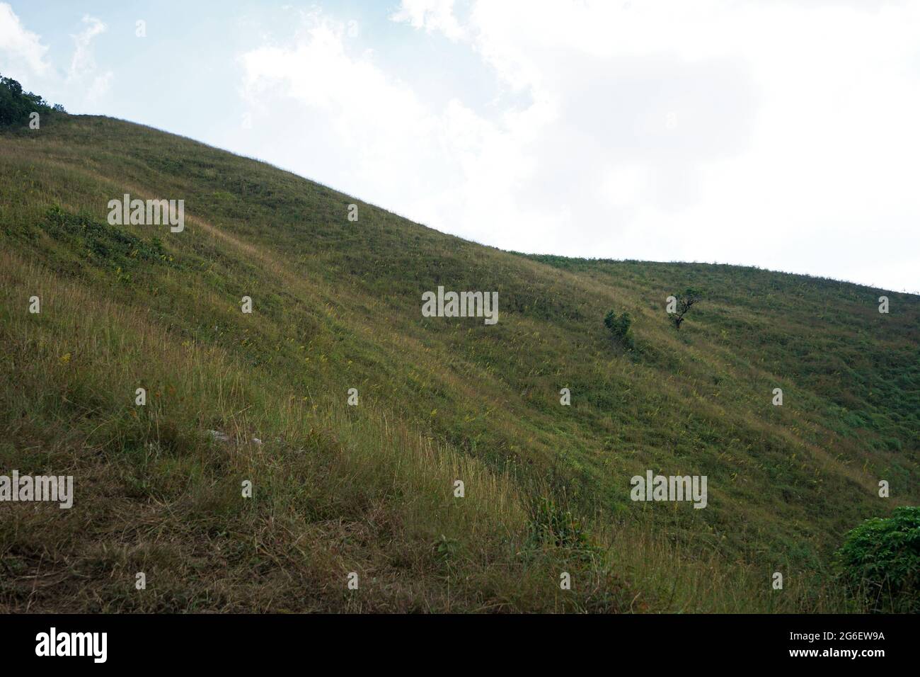 Natural landscape grassy pathway hi-res stock photography and images ...
