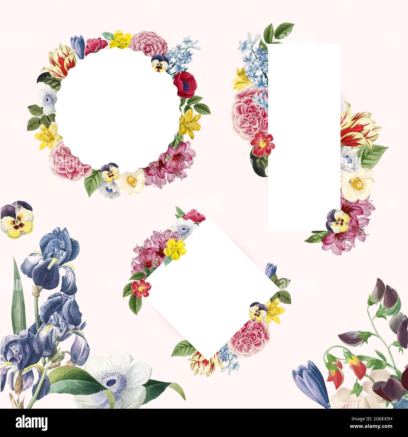 Pink Themed Border High Resolution Stock Photography and Images - Alamy