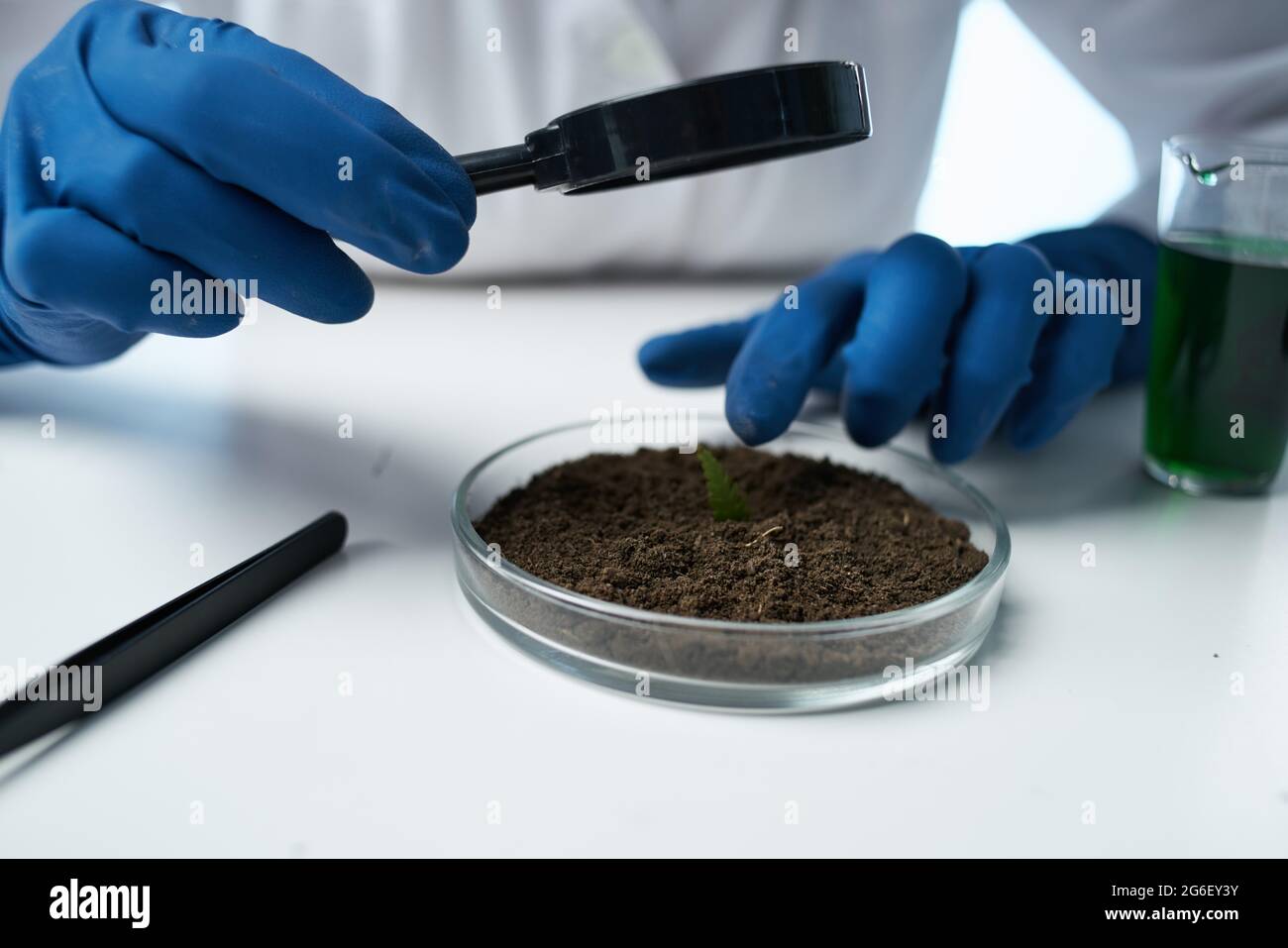 soil research laboratory biology analysis Stock Photo - Alamy