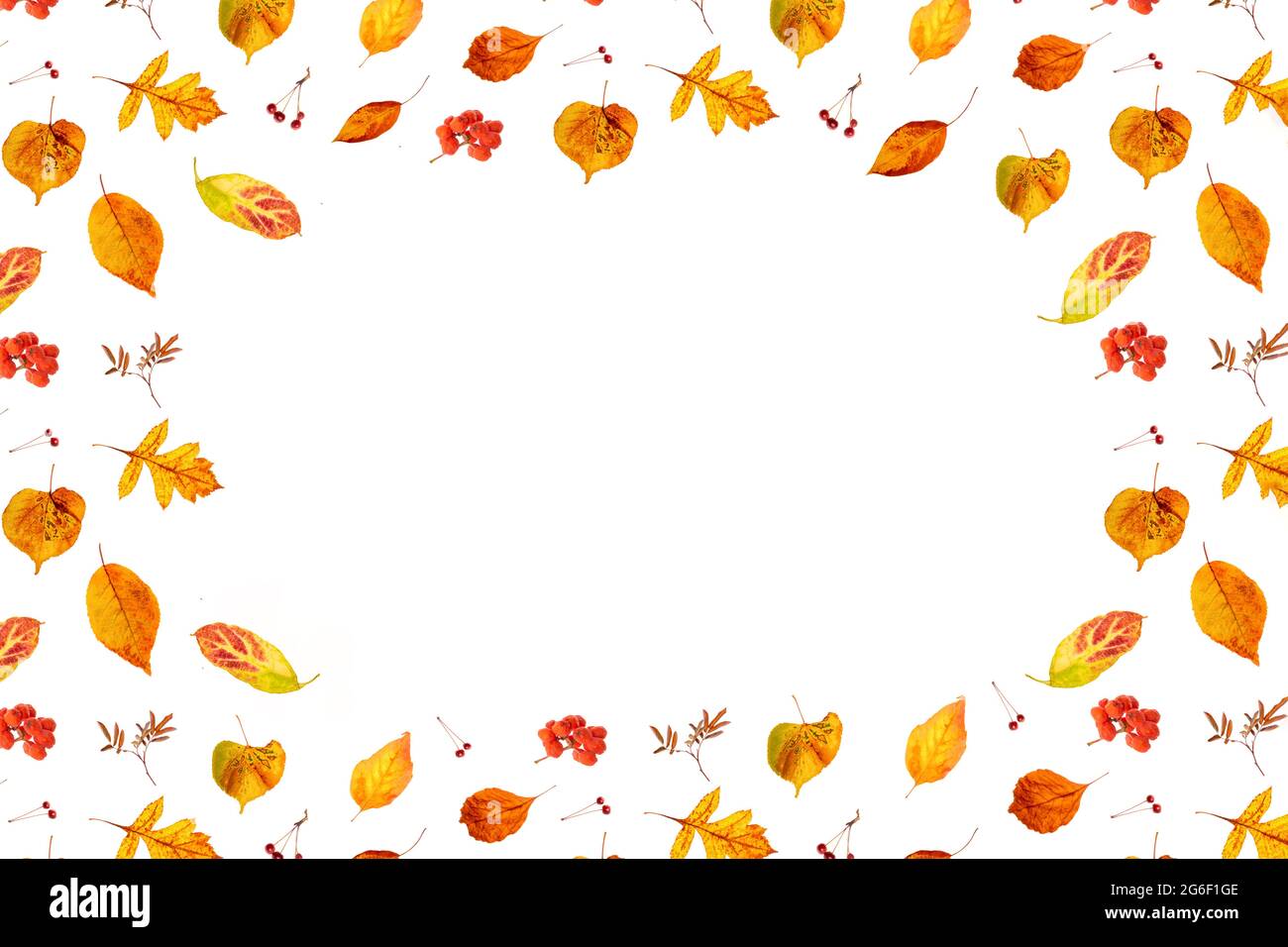 Overhead autumn berry hi-res stock photography and images - Alamy