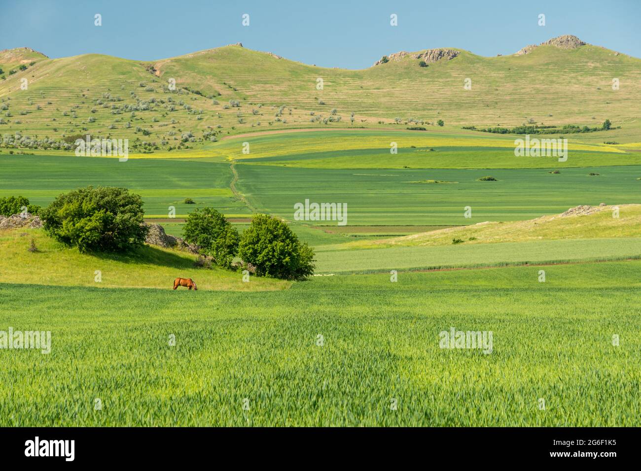 summer landscape from dobrogea region, romania Stock Photo - Alamy