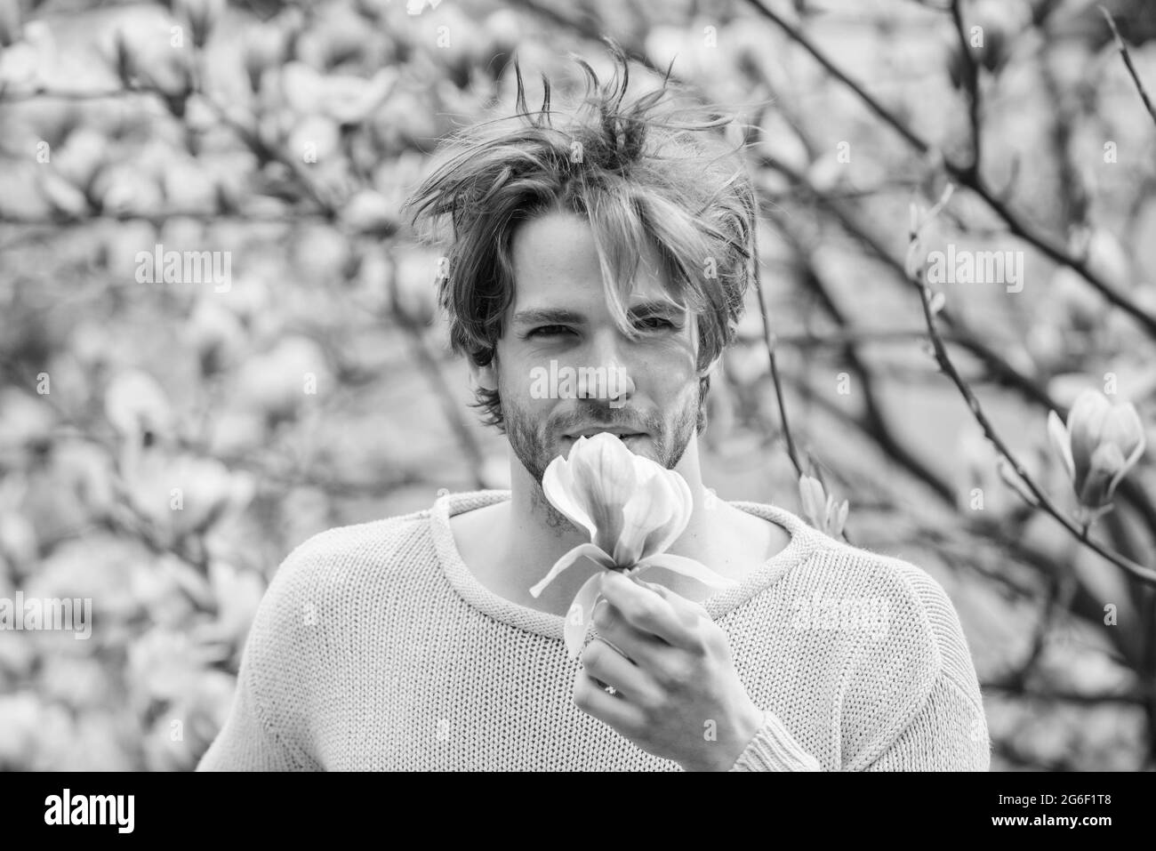 Natural background concept magnolia Black and White Stock Photos ...