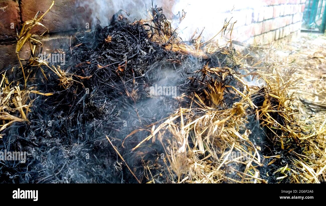 Burning field agriculture hi-res stock photography and images - Alamy