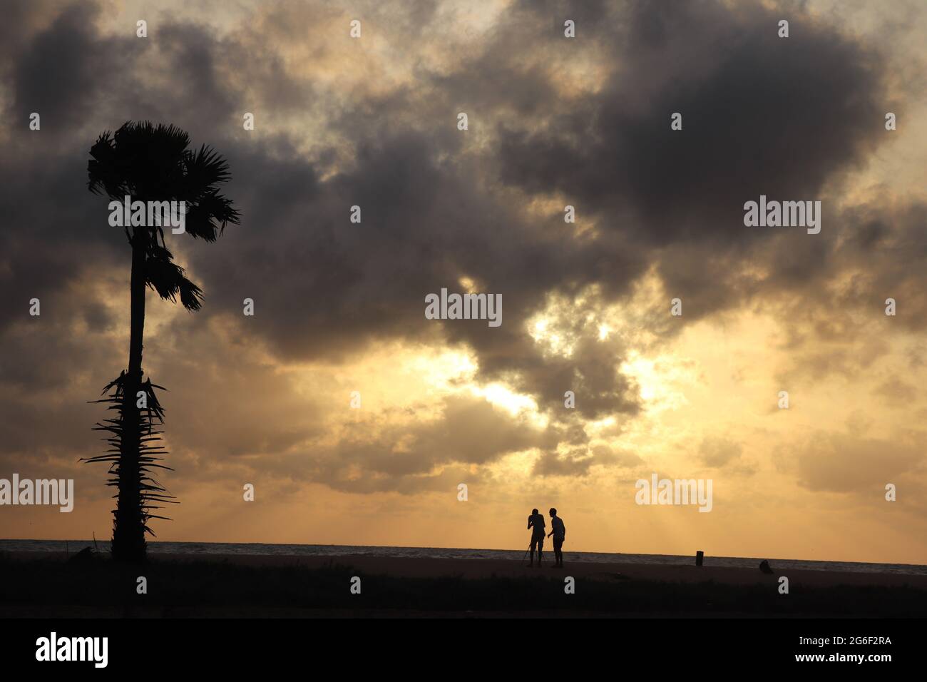 Beautiful sunset tree in evening hi-res stock photography and images ...