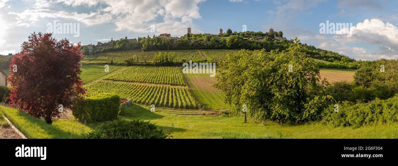 Panoramic landscape with vinyards in France Stock Photo - Alamy