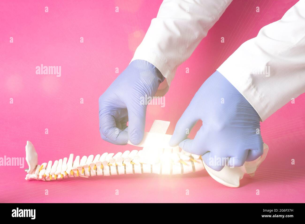 Doctor glues a medical plaster on the mock up of the human spine, pink ...