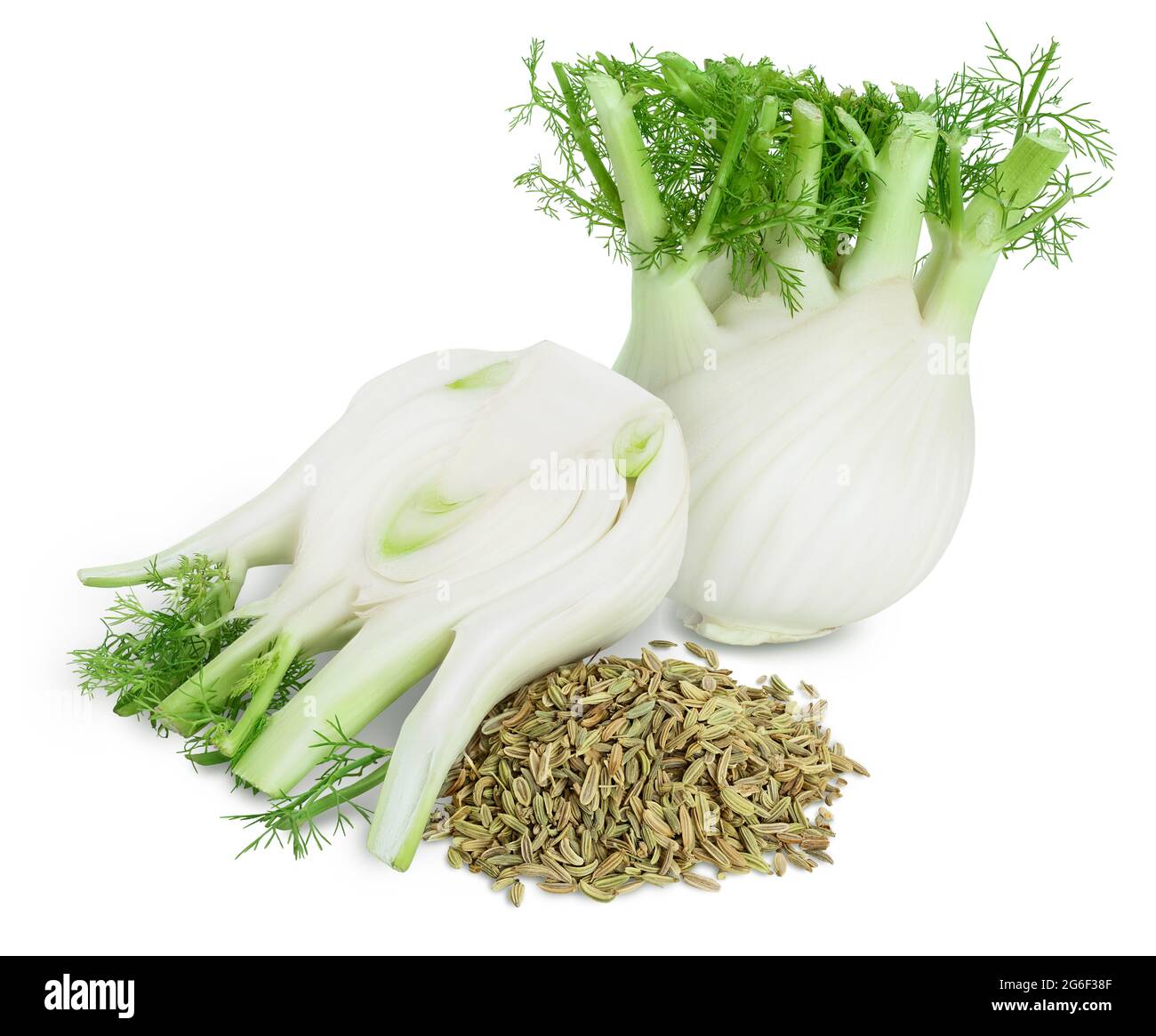 fresh fennel bulb with seed isolated on white background with clipping ...
