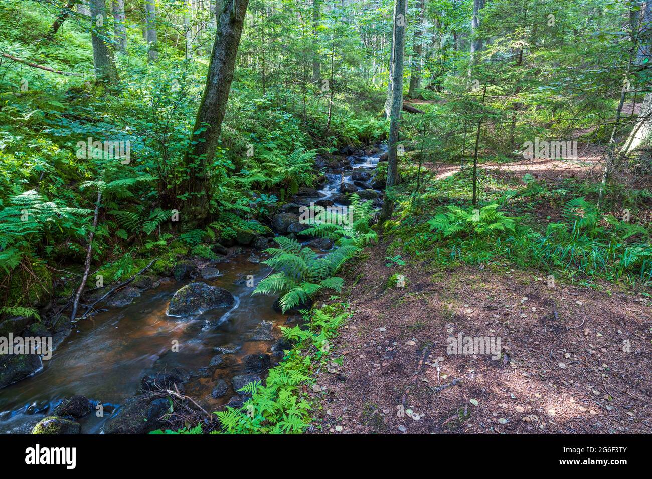 Beautiful nature landscape view. Nature backgrounds. Stream near path ...