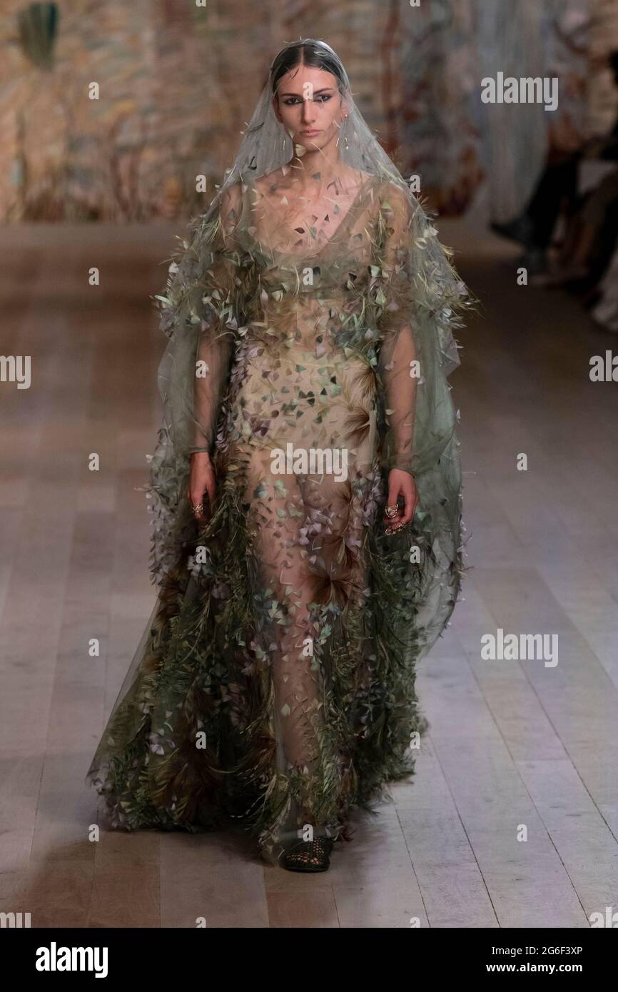 Chai maximus hi-res stock photography and images - Alamy