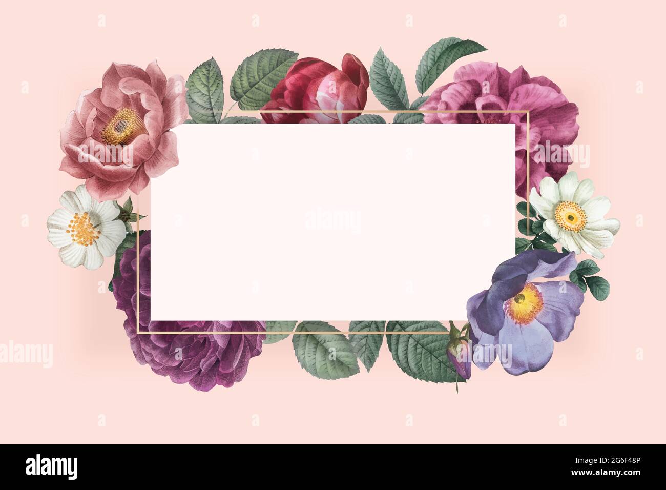 Pink Themed Border High Resolution Stock Photography and Images - Alamy