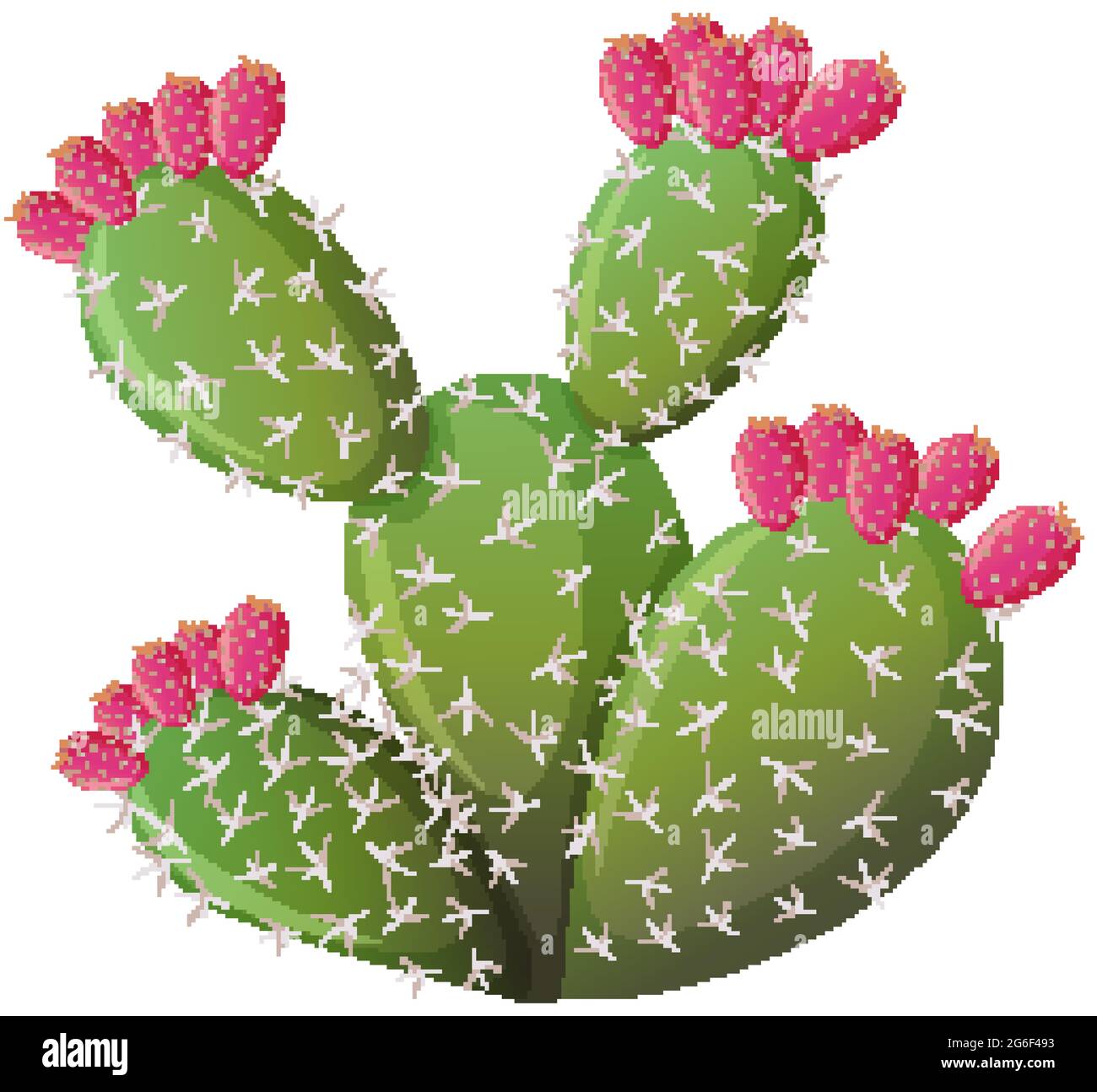 Prickly cactus in cartoon style isolated on white background ...