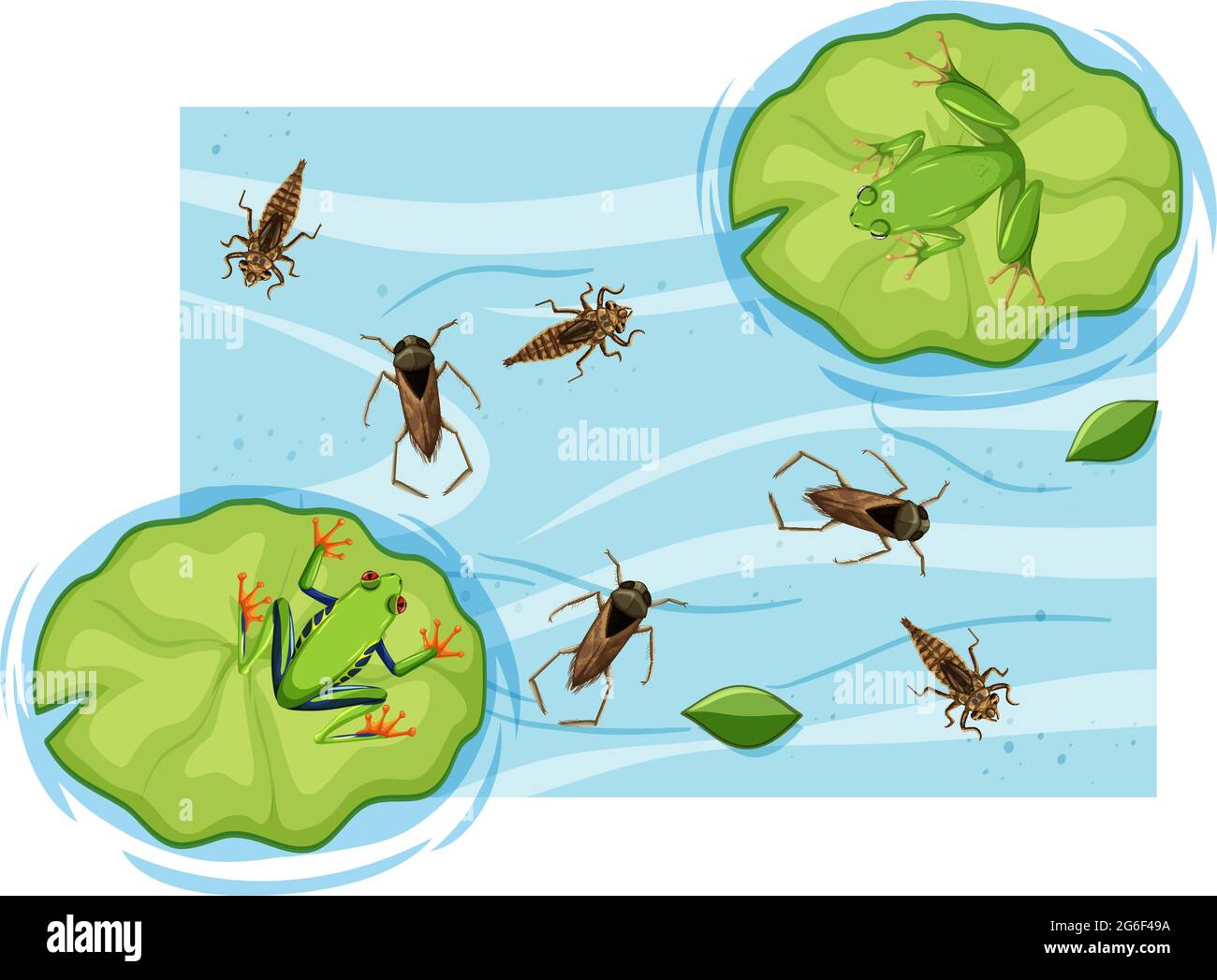 Top view of aquatic insects in the pond illustration Stock Vector Image ...