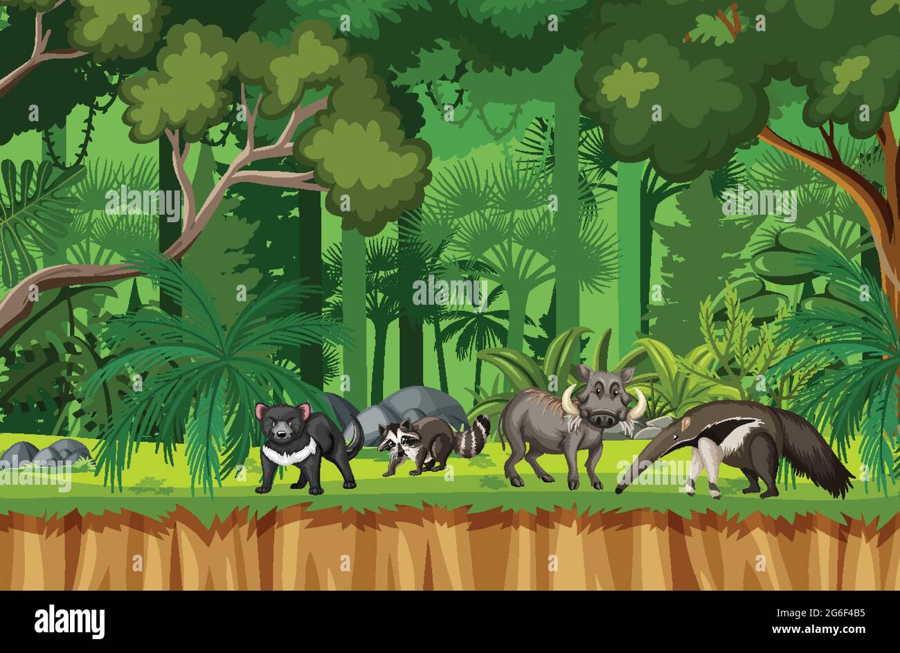 Tropical rainforest scene various hi-res stock photography and images ...