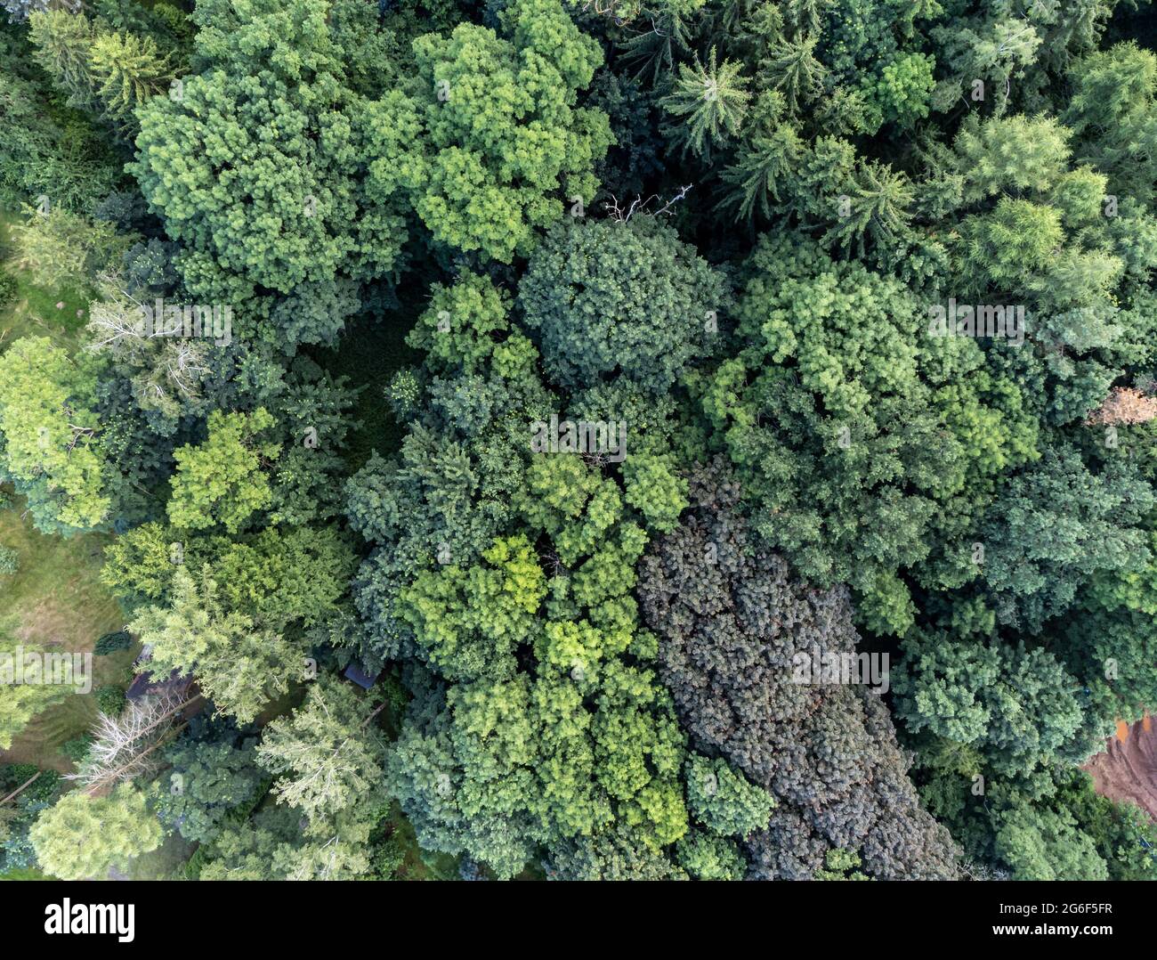 Tree trees deciduous sight hi-res stock photography and images - Alamy