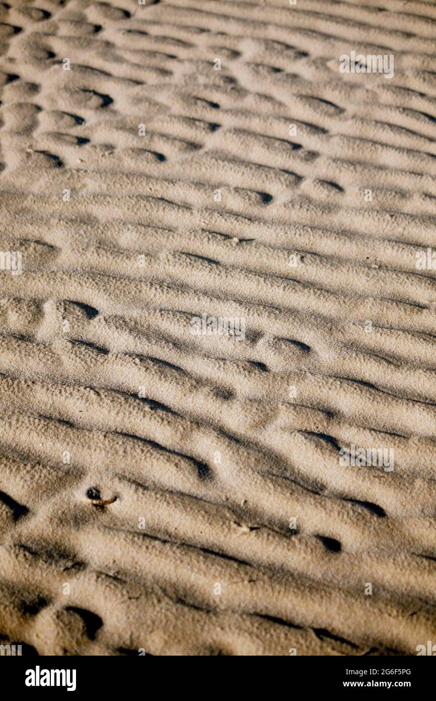 Beach drift line hi-res stock photography and images - Alamy
