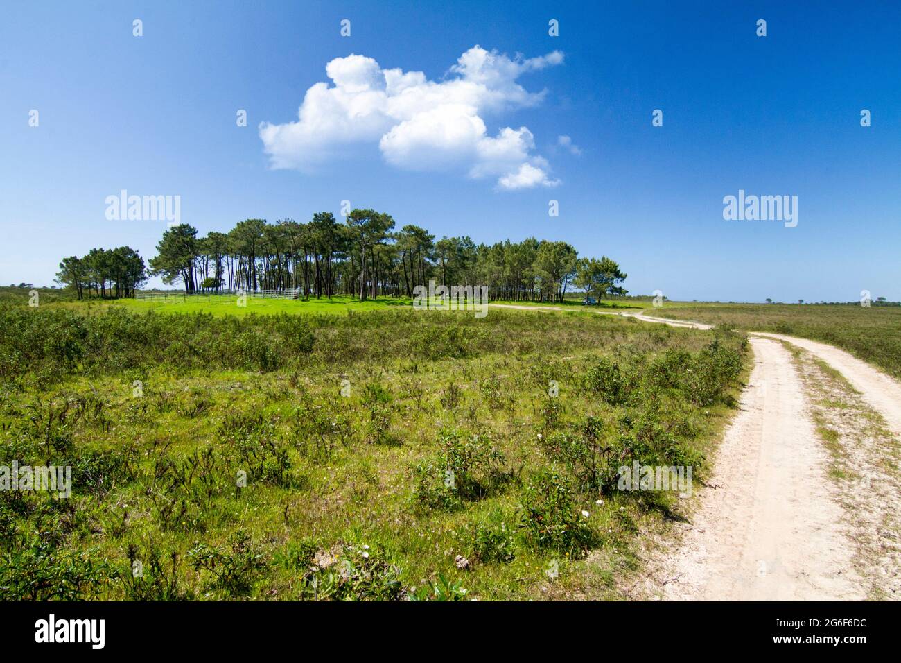 Patch Of Dirt High Resolution Stock Photography and Images - Alamy