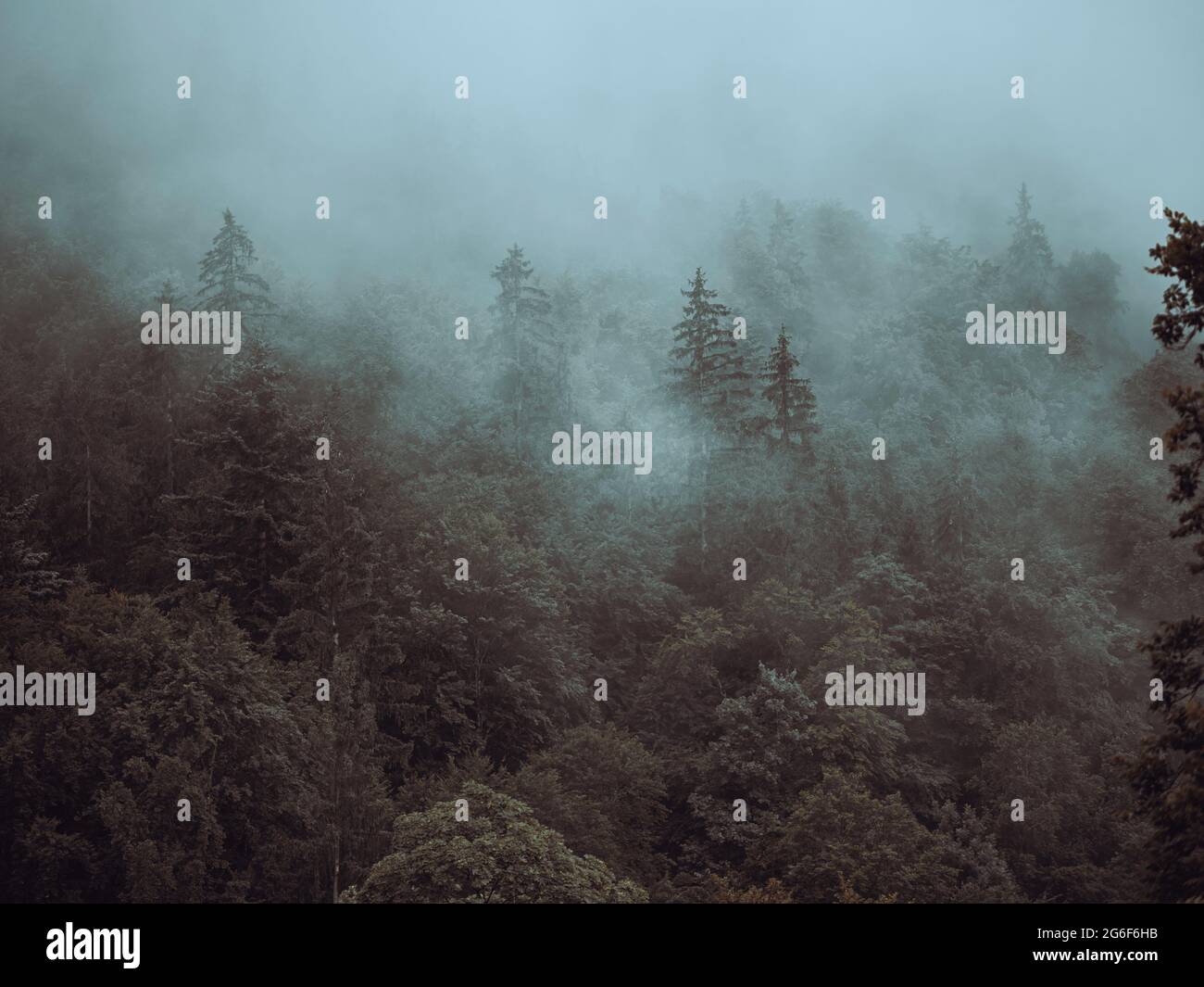 Canopy mountain hi-res stock photography and images - Alamy