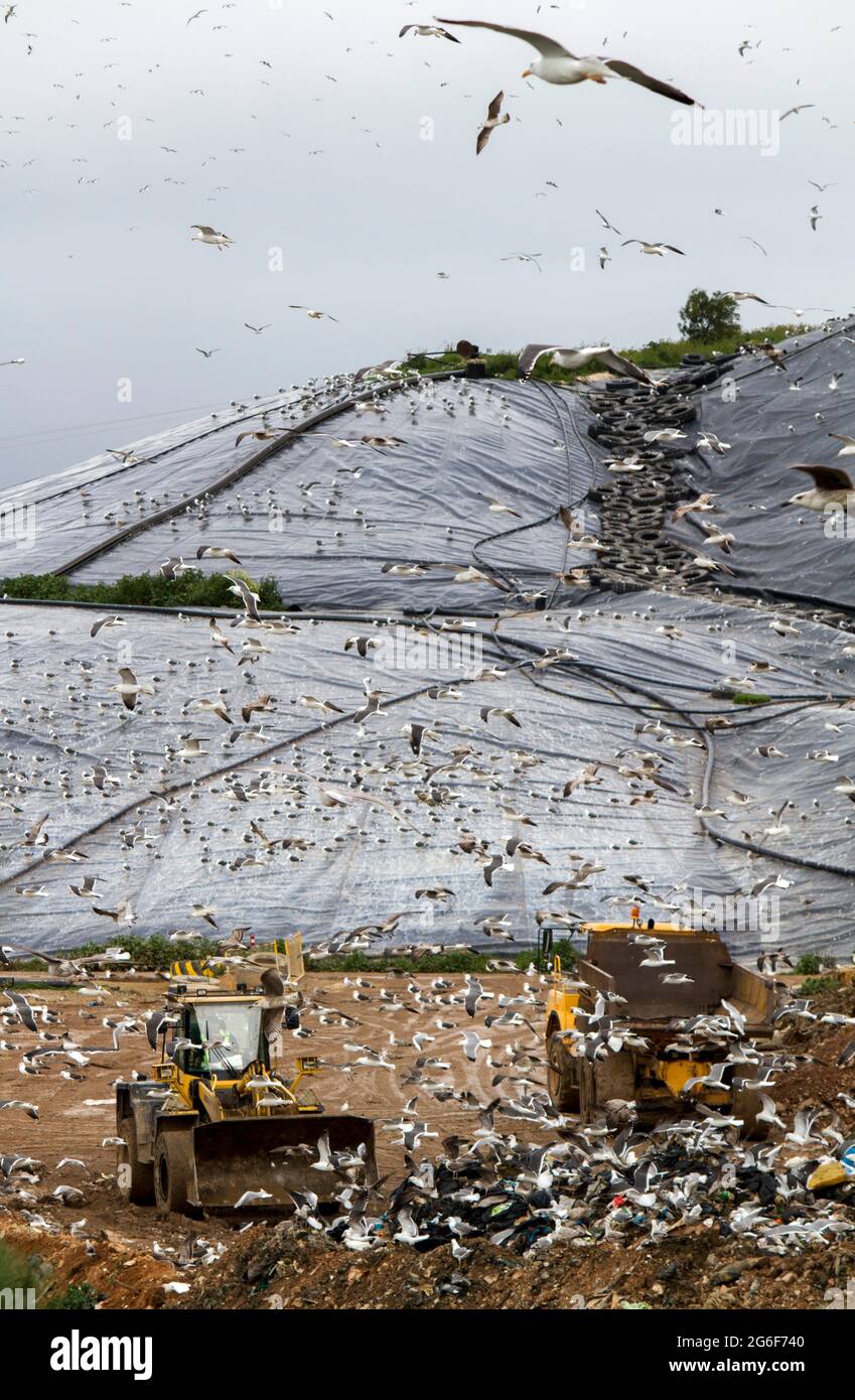 Dump site hi-res stock photography and images - Alamy