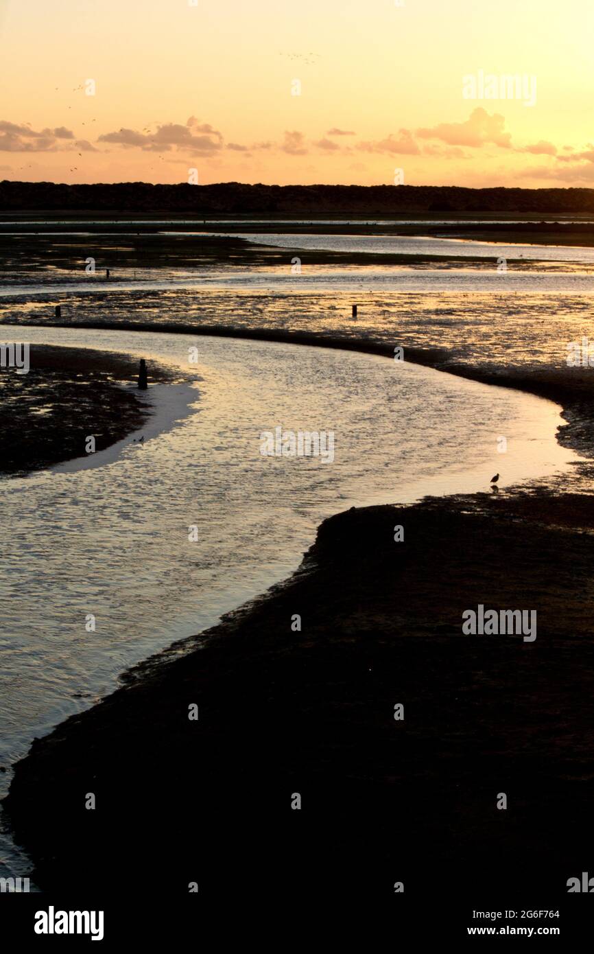 Beautiful marshlands hi-res stock photography and images - Alamy