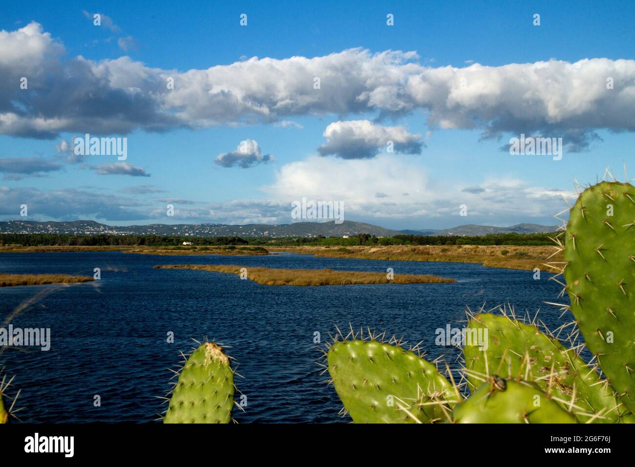 View of the beautiful marshlands in the Algarve Stock Photo - Alamy