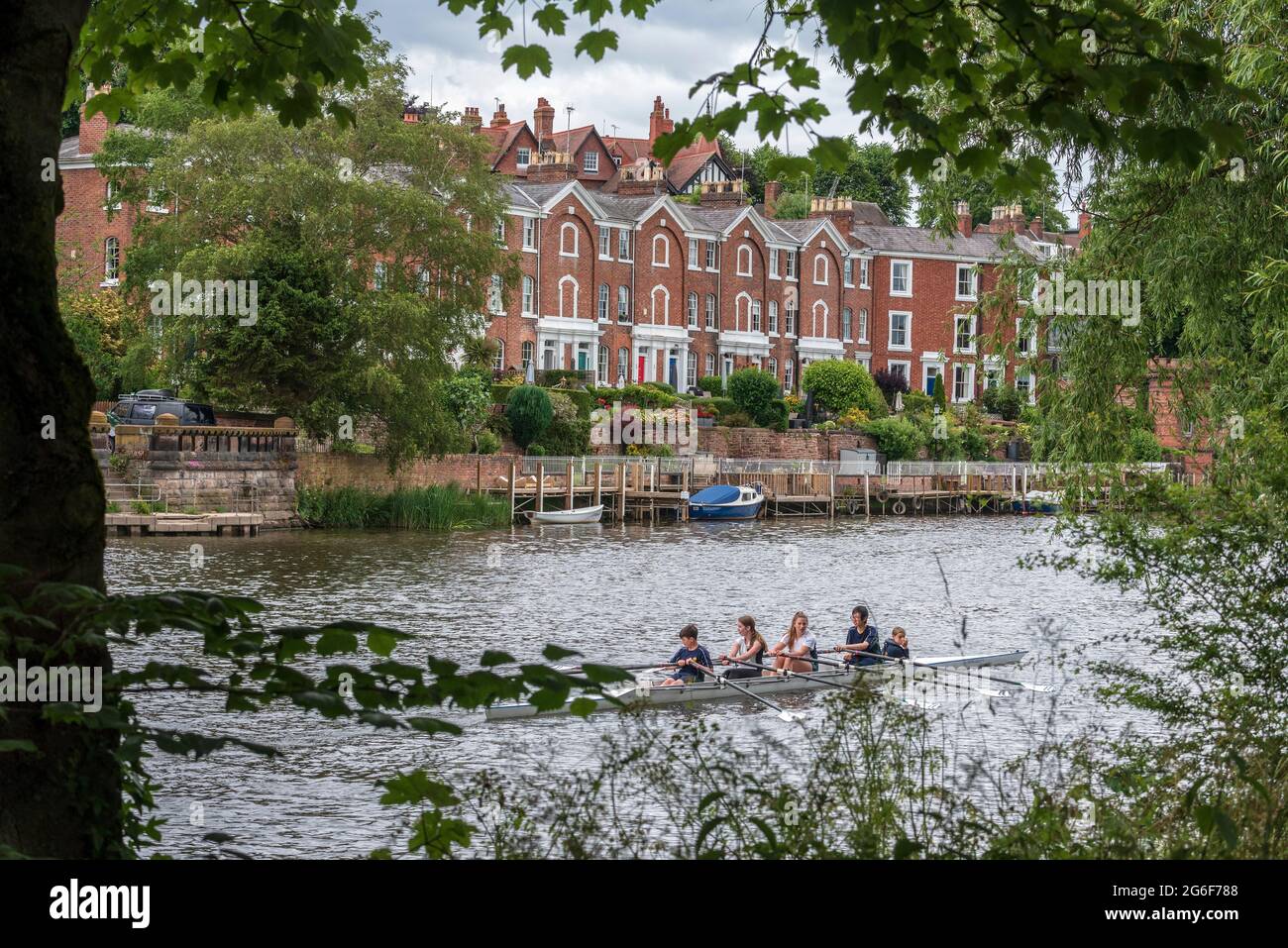 The river Dee at Chester. Rowers passing Deva Terrace houses Stock ...