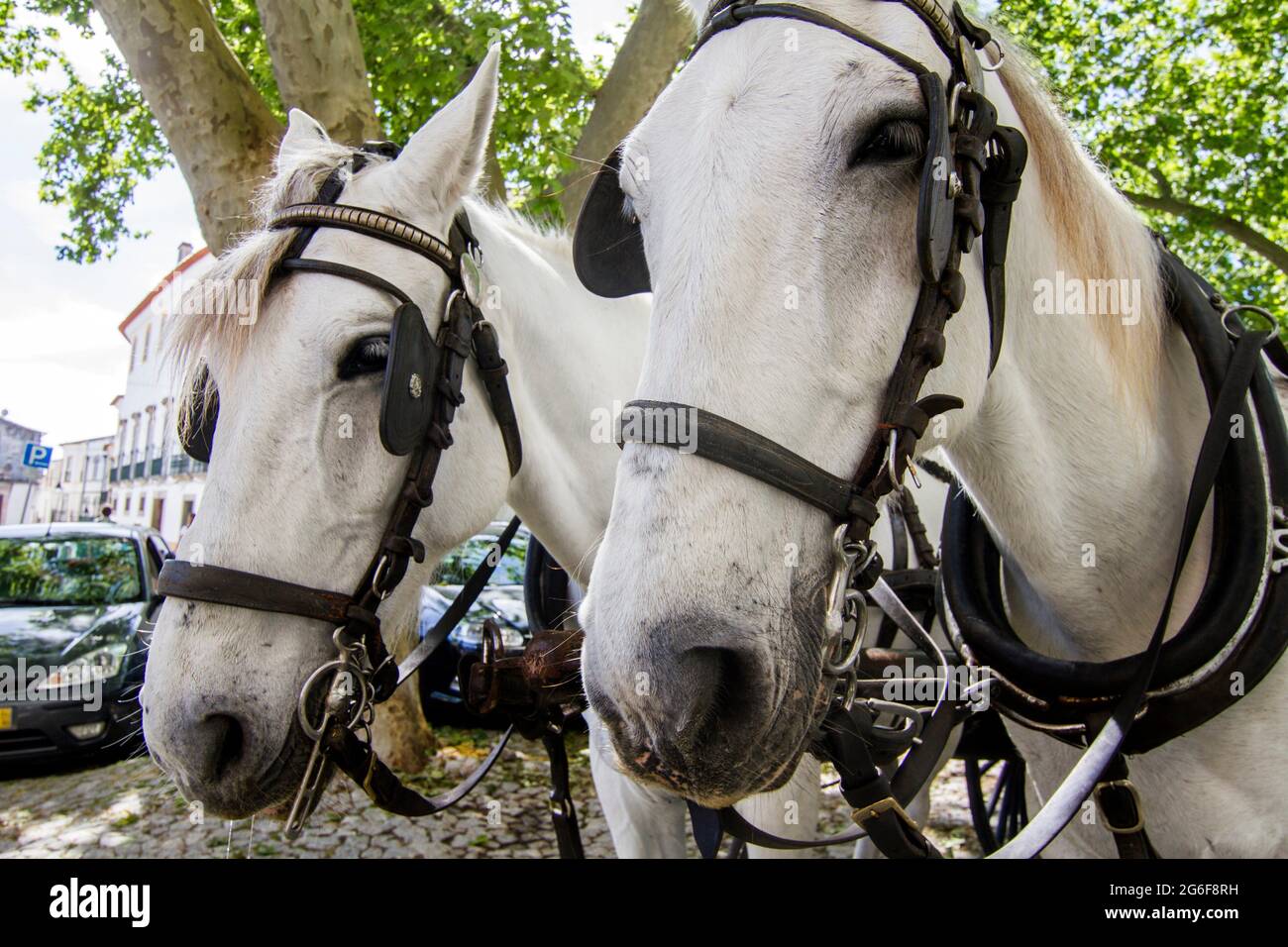 Double parked vehicle hi-res stock photography and images - Alamy