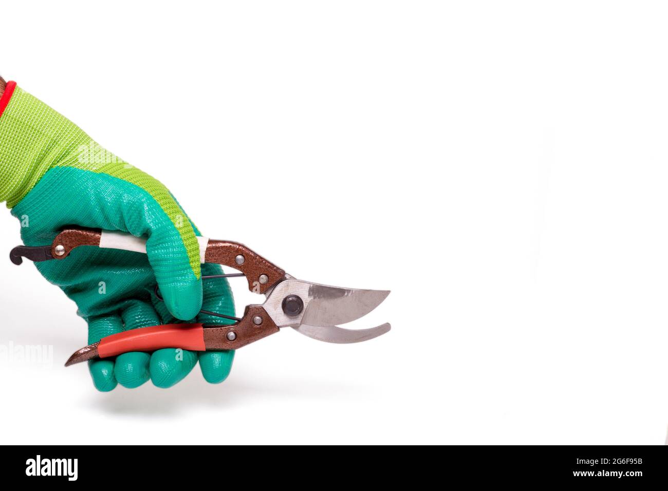 Close up view of a hand with a prune scissor isolated on a white ...