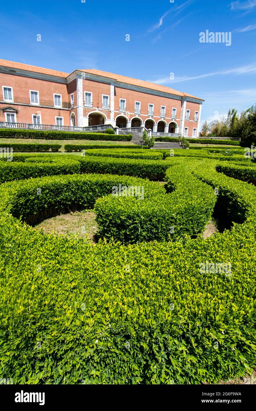 Nature maze hi-res stock photography and images - Alamy