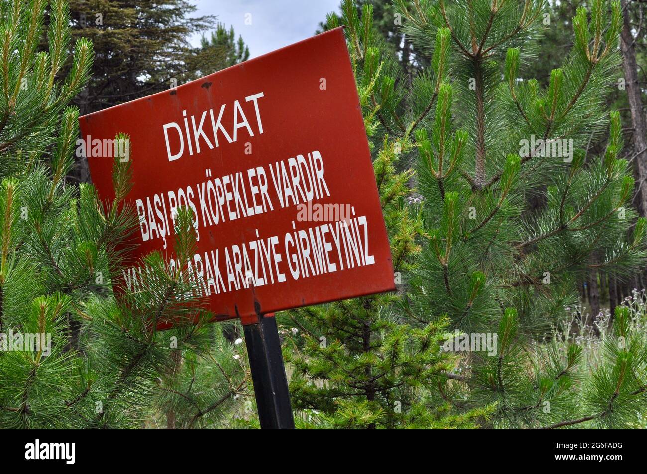 Dingo warning sign hi-res stock photography and images - Alamy