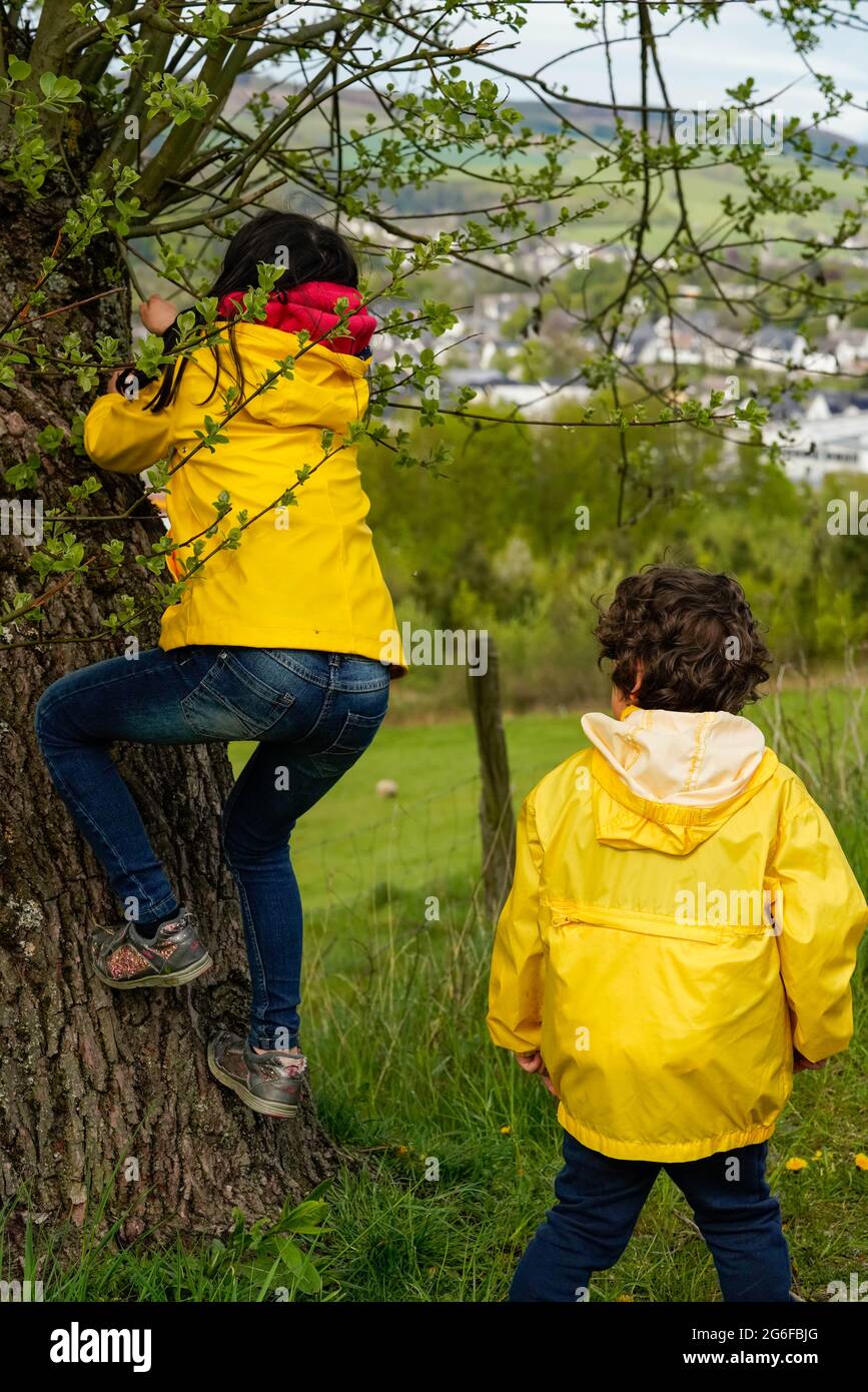 Children climbing a tree Stock Photo - Alamy