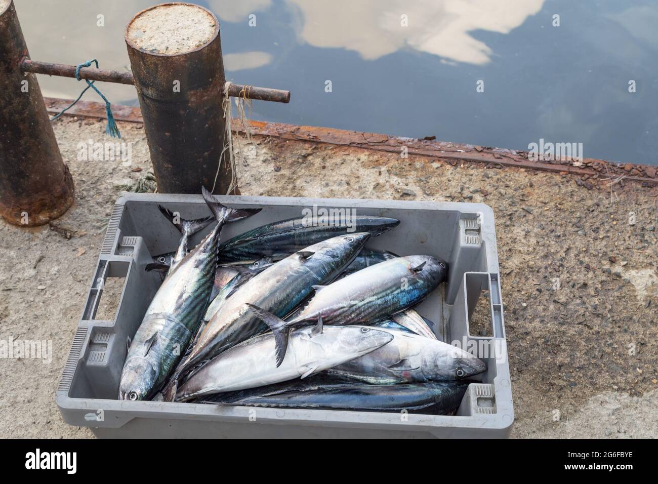 Boxes with freshly caught fish and a pier with fishing boats Stock ...
