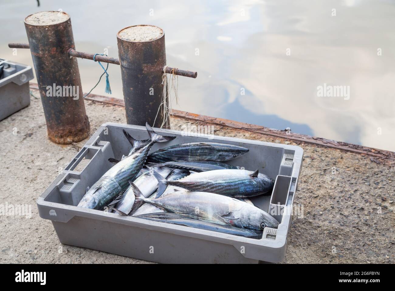 Boxes with freshly caught fish and a pier with fishing boats Stock ...