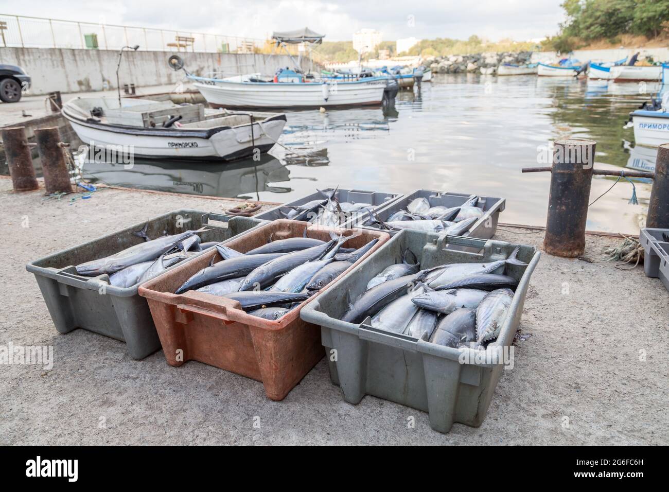 Bonito fishing boats hi-res stock photography and images - Alamy