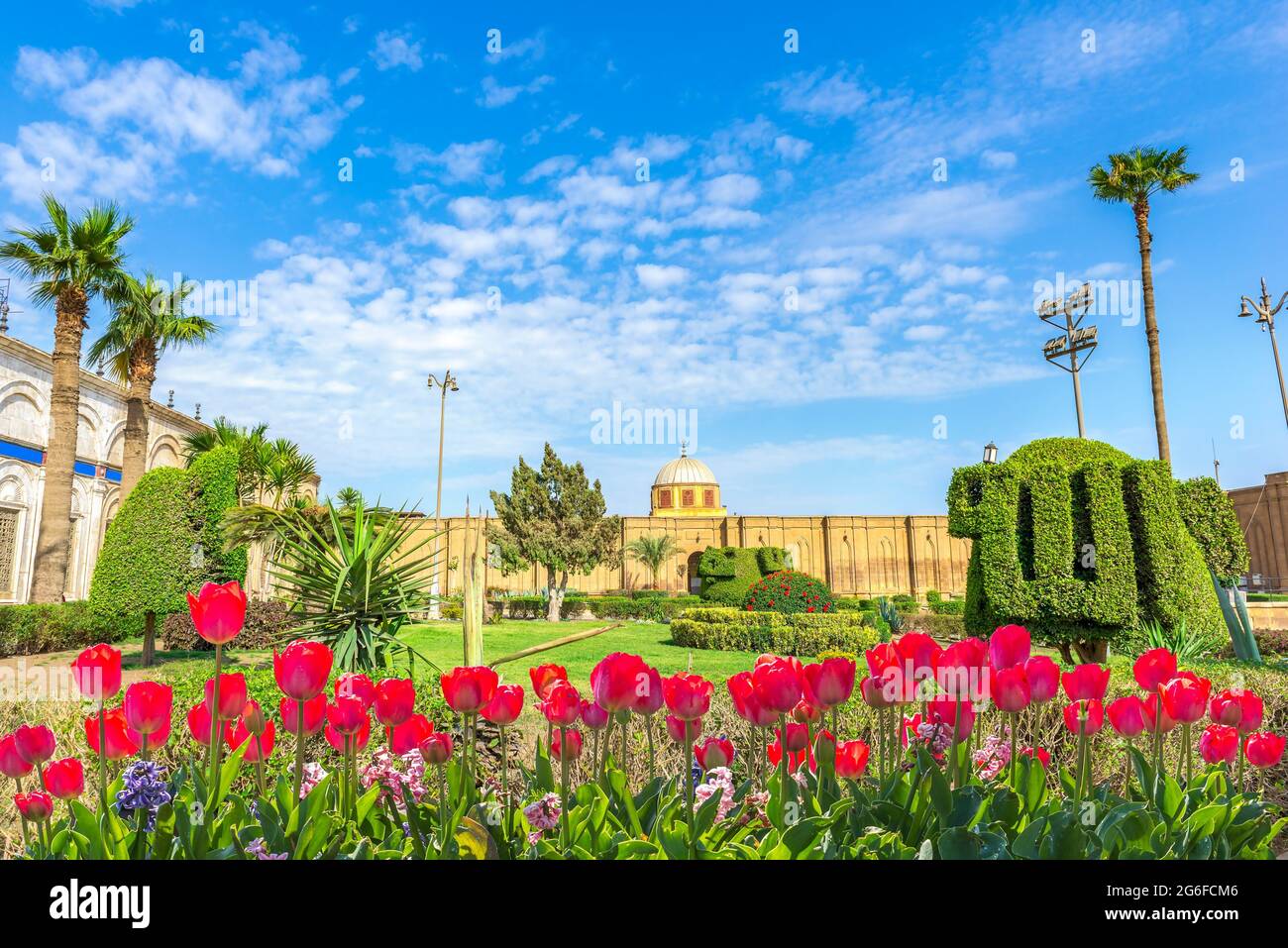 Cairo museum garden hi-res stock photography and images - Alamy