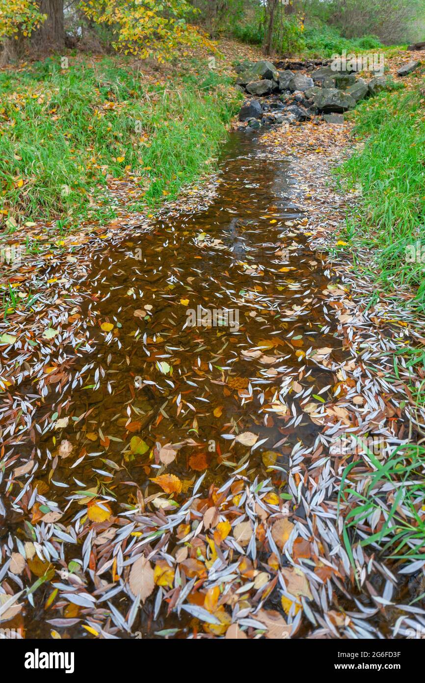 Dyje river hi-res stock photography and images - Alamy