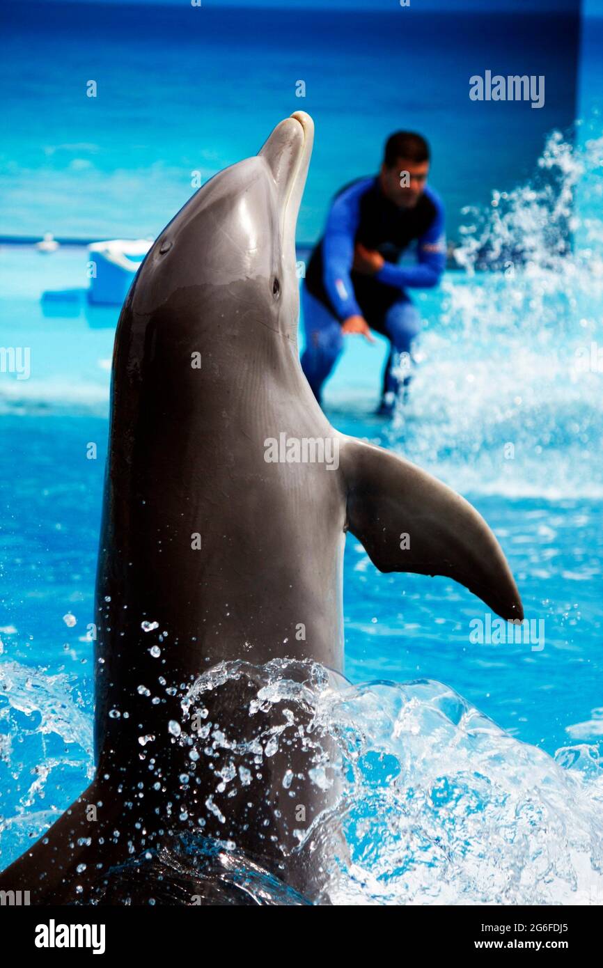 Marine waterpark hi-res stock photography and images - Alamy