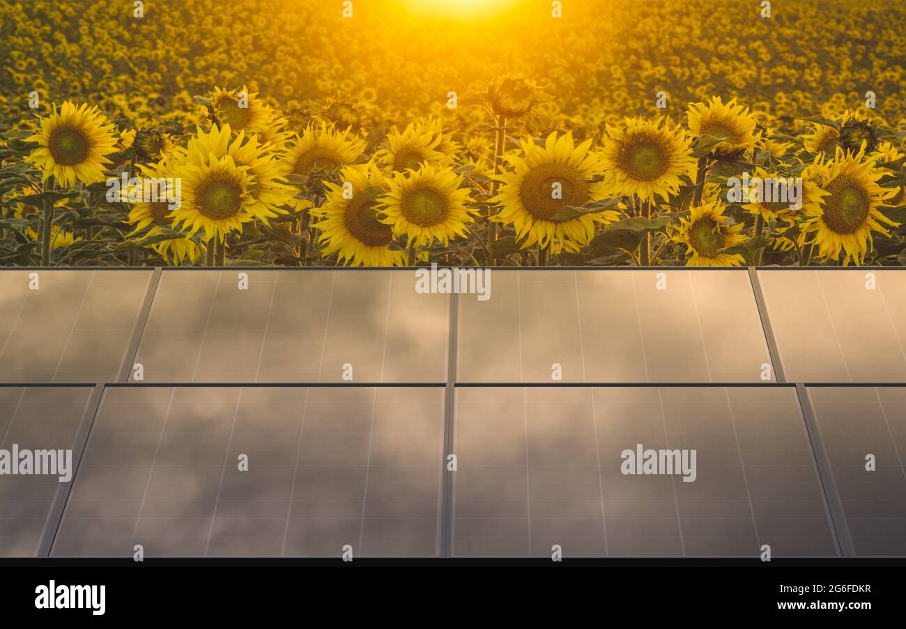 Solar electric generation panels hi-res stock photography and images ...