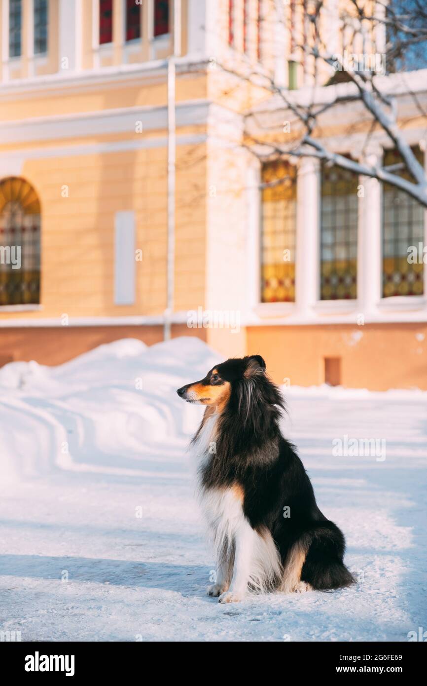 Scottish street snow hi-res stock photography and images - Alamy