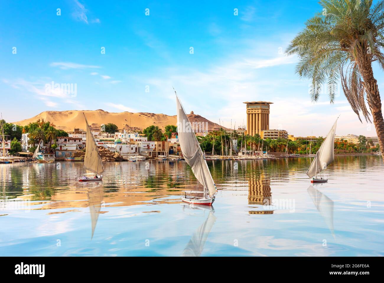 Palm tree behind swimming pool hi-res stock photography and images - Alamy