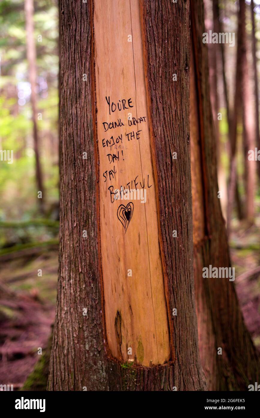 Modified tree hi-res stock photography and images - Alamy